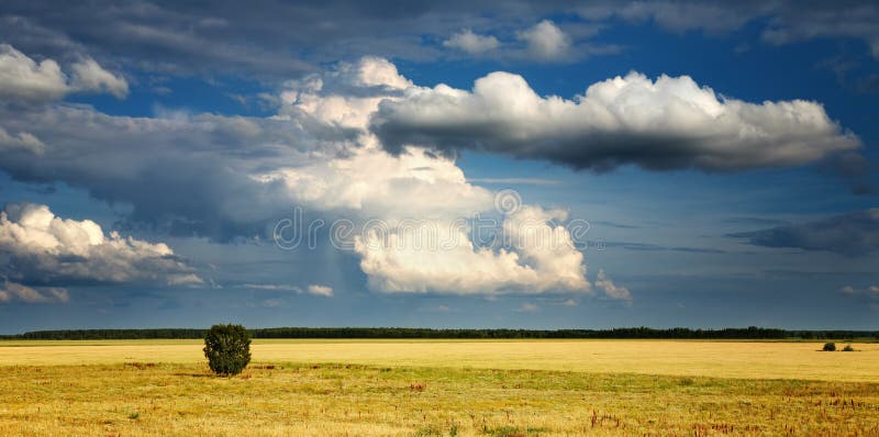 Landscape with cloudy sky stock photo. Image of grassland - 3613874