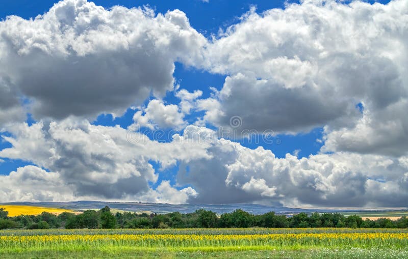 Landscape with cloudy sky stock photo. Image of plantation - 252623992