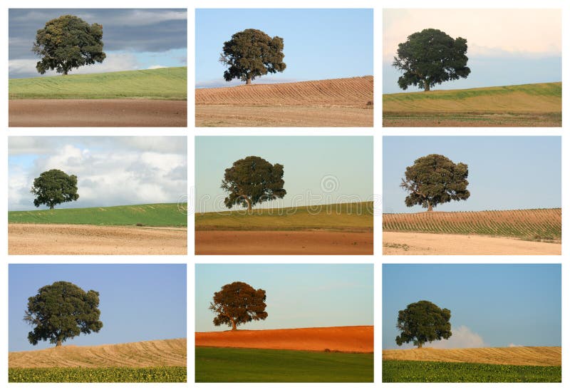 Landscape collage stock image. Image of design, scene - 35576525