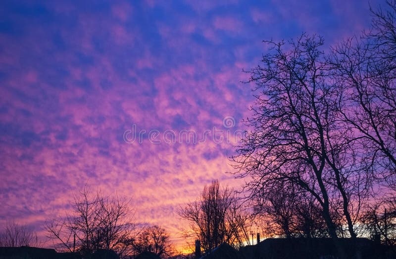 Landscape with Colorful Clouds in the Evening Winter Sky Stock Photo ...