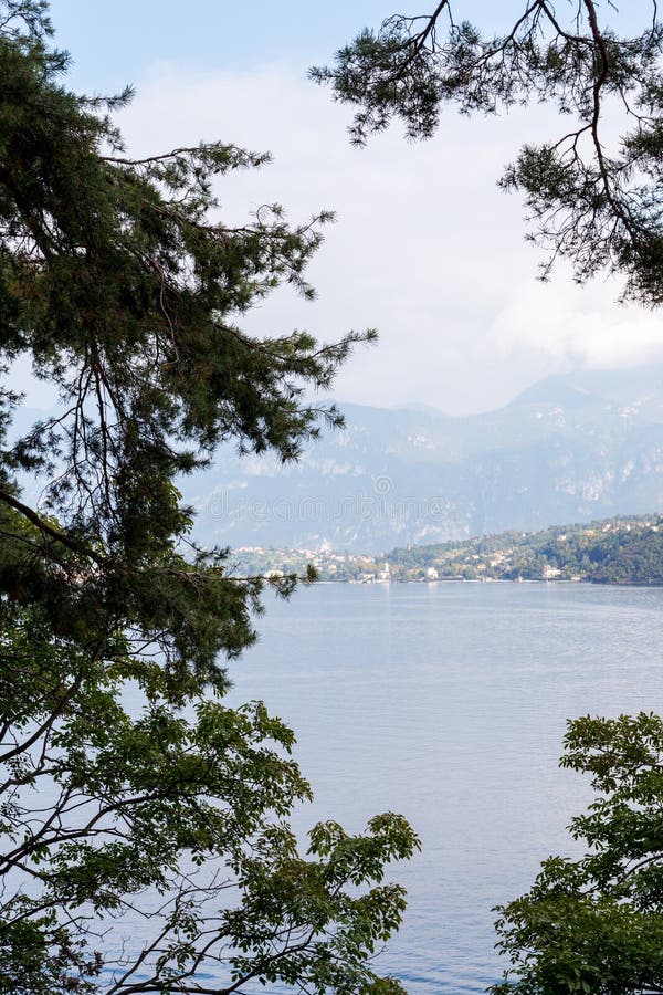 Landscape of Como Lake with Tree Stock Photo - Image of famous ...