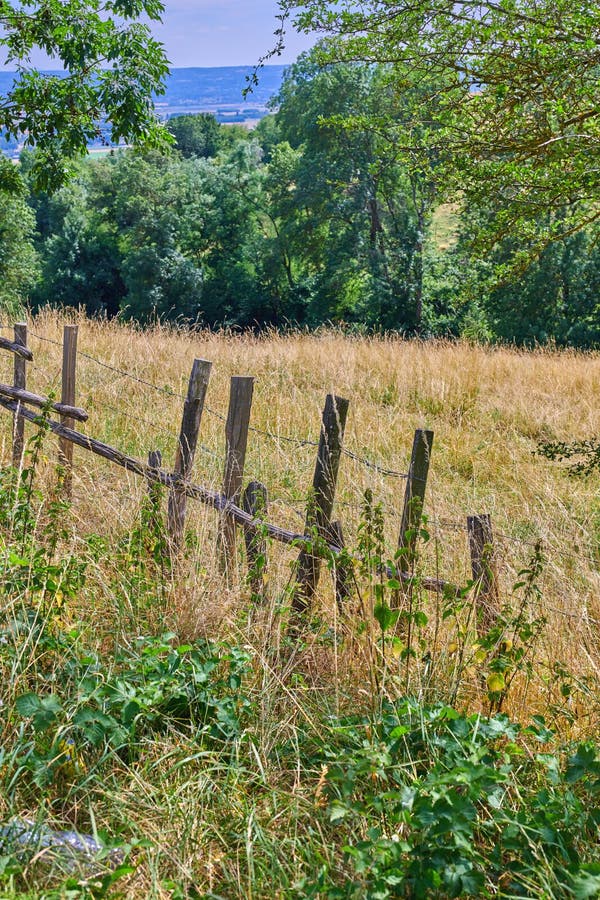 Landscape Copyspace View of an Empty and Secluded Farmland in the ...