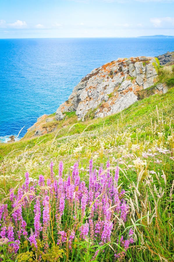 Landscape in Cornwall, England Stock Image - Image of marine, holidays ...