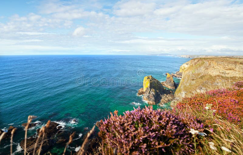 Landscape Cornwall Sea Cliffs Heather Stock Image - Image of holiday ...