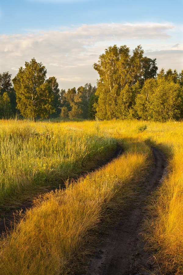 Landscape with a Country Road Stock Image - Image of meadow, autumn ...