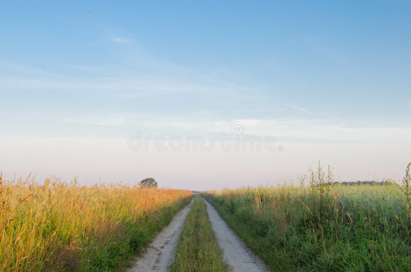 Landscape with Country Road in Summer Stock Photo - Image of path ...