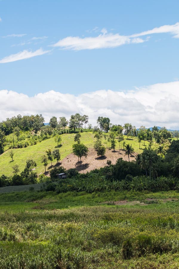 Landscape at countryside stock image. Image of mountains - 65158499