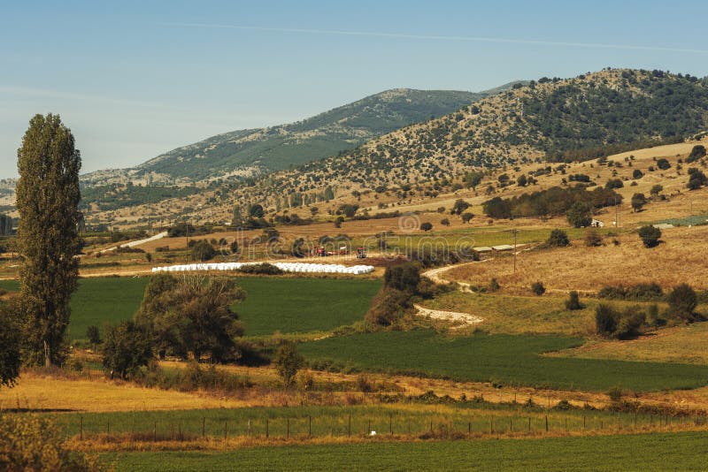 Landscape of the Countryside and Hay with Livestock in Greece Stock ...