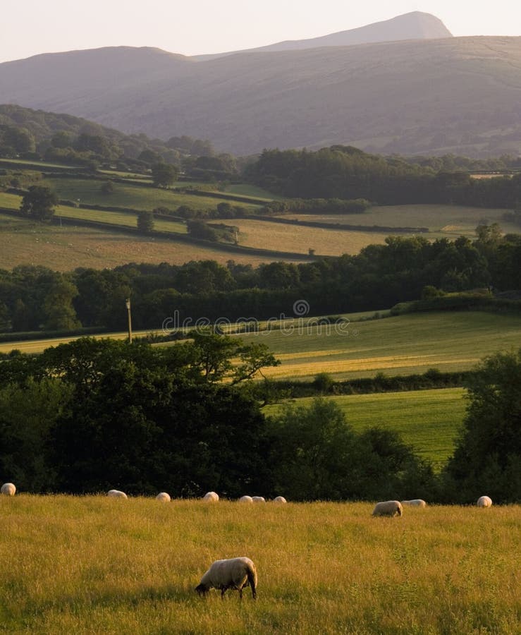 Landscape Countryside Hills Stock Photo - Image of countryside ...