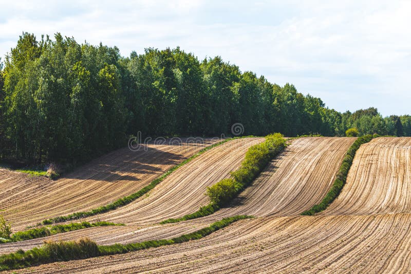 Landscape in the Countryside on a Sunny May Day Stock Photo - Image of ...