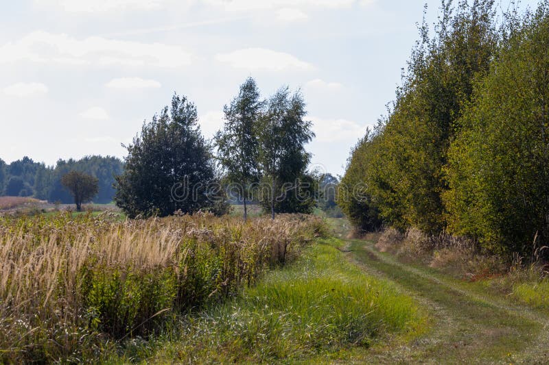 Landscape in the Countryside on a Sunny September Day Stock Image ...