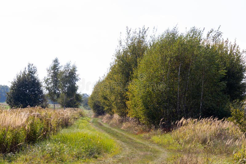 Landscape in the Countryside on a Sunny September Day Stock Photo ...