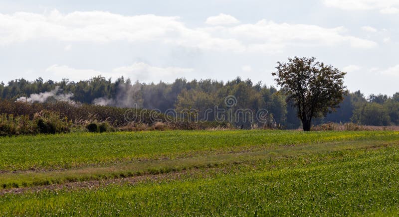 Landscape in the Countryside on a Sunny September Day Stock Image ...