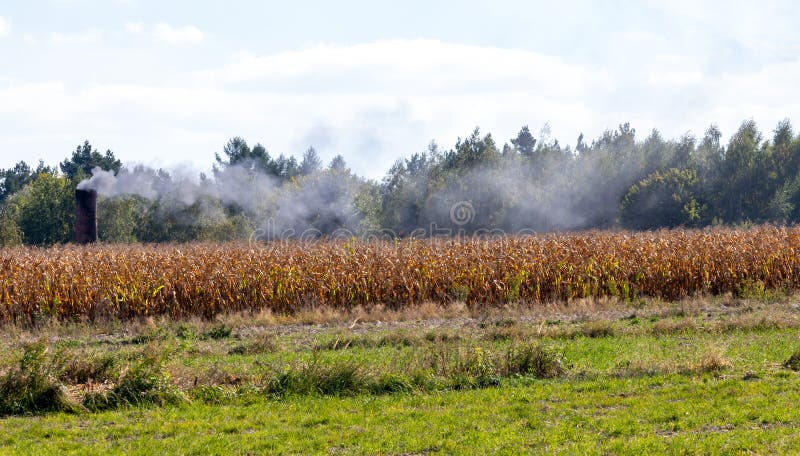 Landscape in the Countryside on a Sunny September Day Stock Photo ...