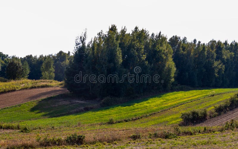 Landscape in the Countryside on a Sunny September Day Stock Image ...