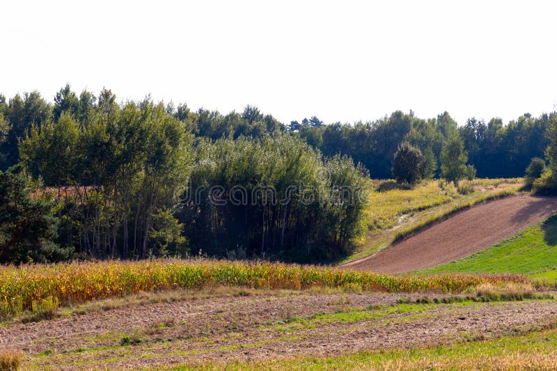 Landscape in the Countryside on a Sunny September Day Stock Photo ...