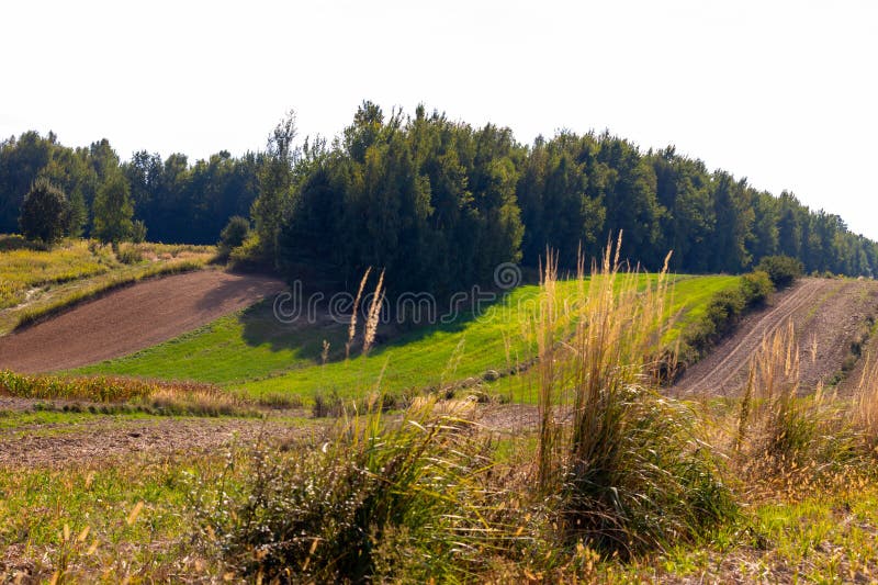 Landscape in the Countryside on a Sunny September Day Stock Image ...