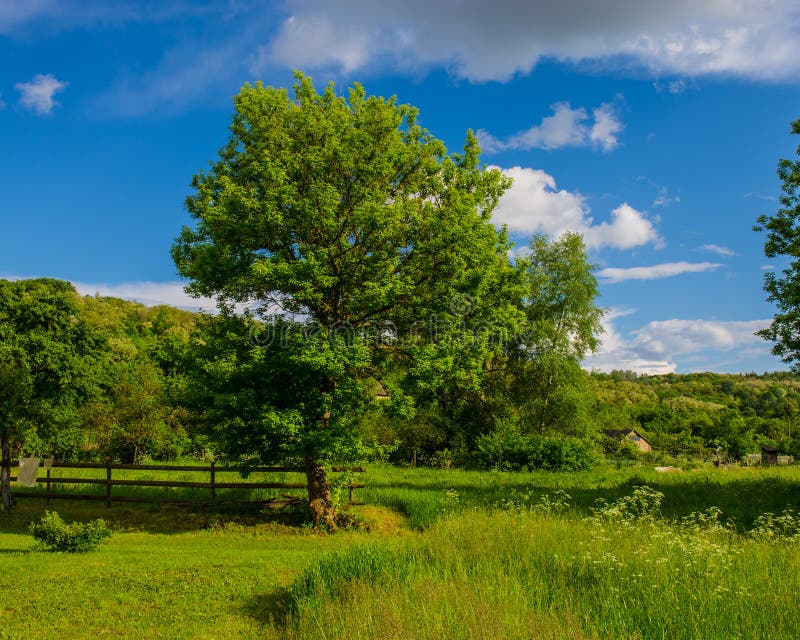 Landscape in the Countrysidet Stock Image - Image of beautiful ...