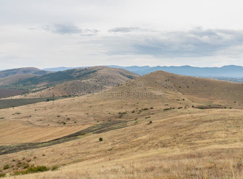 Landscape Covered with Hay and Plains with a Skyscape in the Background ...