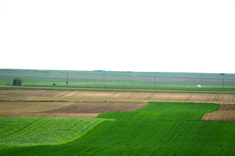 Landscape of Cultivated Fields Stock Photo - Image of grass, nature ...