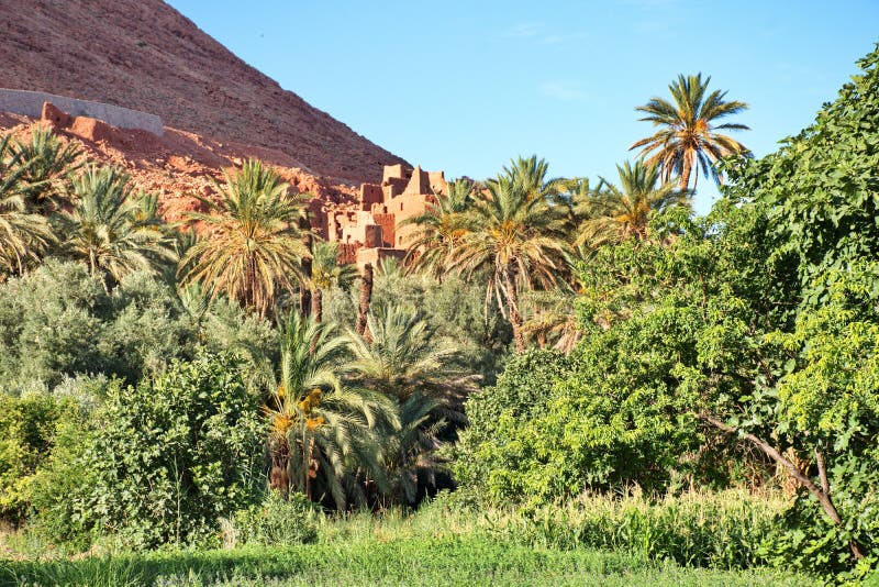 Oasis stock image. Image of arid, panoramic, morocco - 259798579