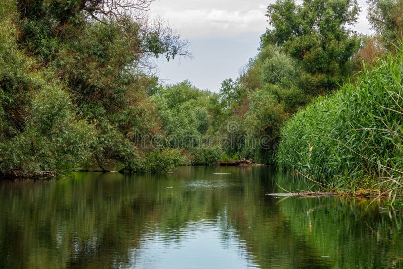 Landscape of the Danube Delta in Romania Stock Image - Image of delta ...