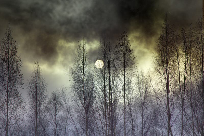 Landscape dark atmosphere stock photo. Image of mysterious - 98213386