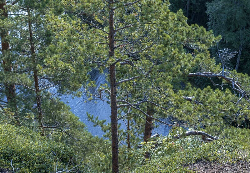 Landscape: Dawn by River Behind the Trees Stock Image - Image of peak ...