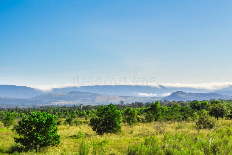 Landscape in the daytime stock photo. Image of green - 164476176