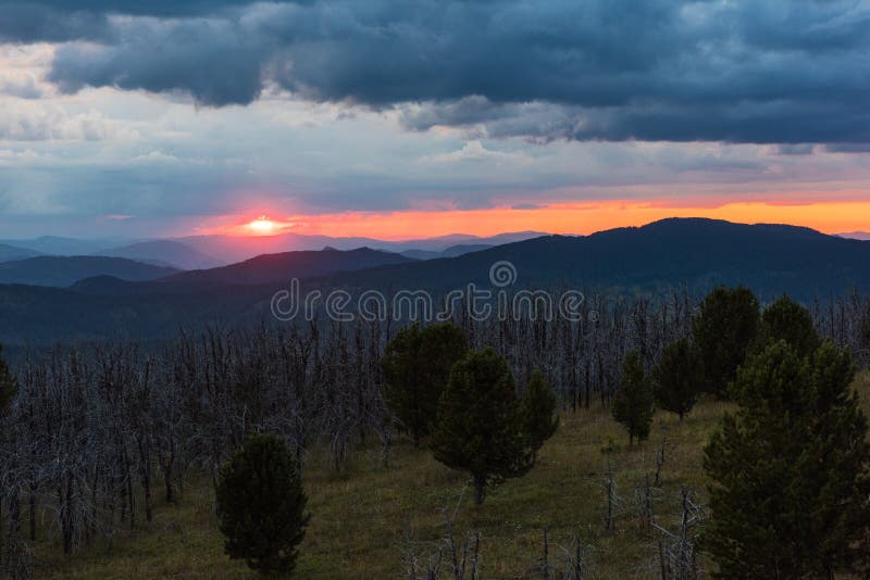 Landscape with dead forest stock photo. Image of dead - 125356796 Landscape with dead forest stock photo. Image of dead - 125356796