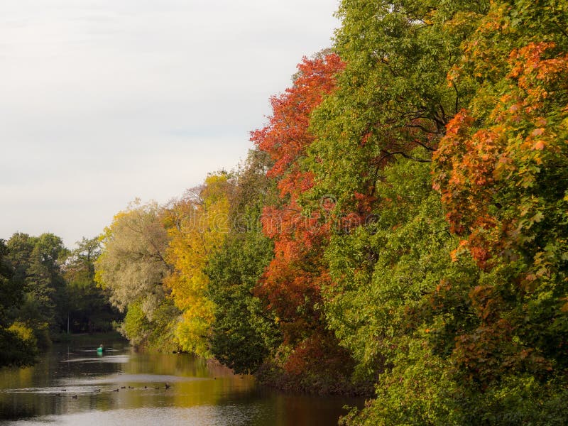 Landscape with Deciduous Trees Stock Photo - Image of vibrant, tranquil ...