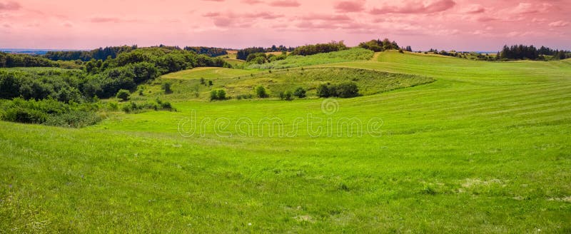 Landscape in Denmark stock image. Image of landscape - 229182879