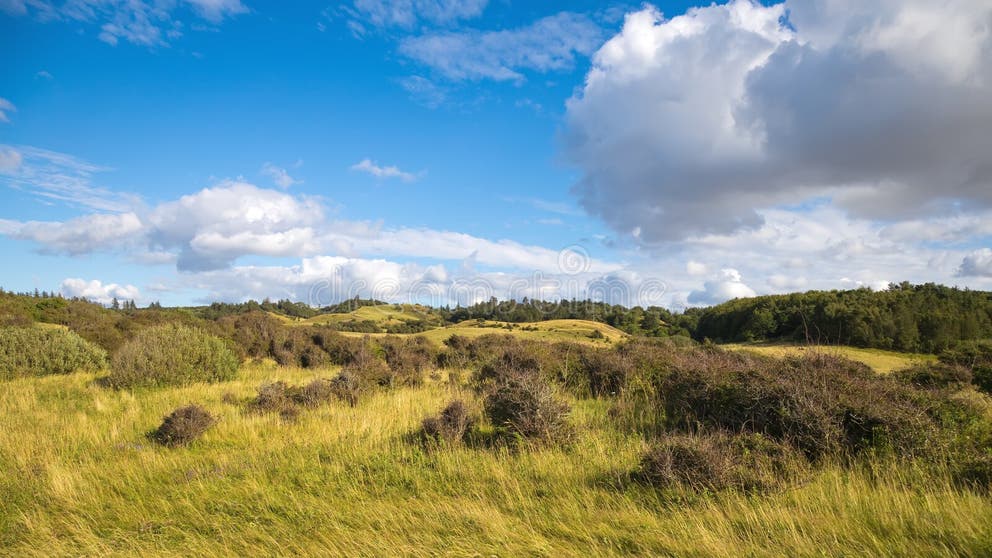 Landscape in Denmark stock image. Image of grass, denmark - 299412761