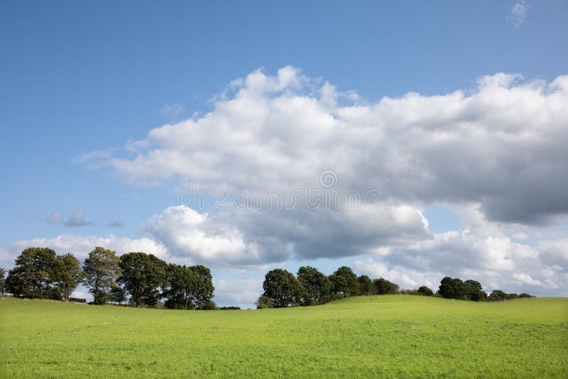 Landscape in Denmark North of Copenhagen Stock Photo - Image of europe ...