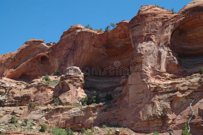 Landscape 16 stock image. Image of cliff, arizona, vegetation - 42012879