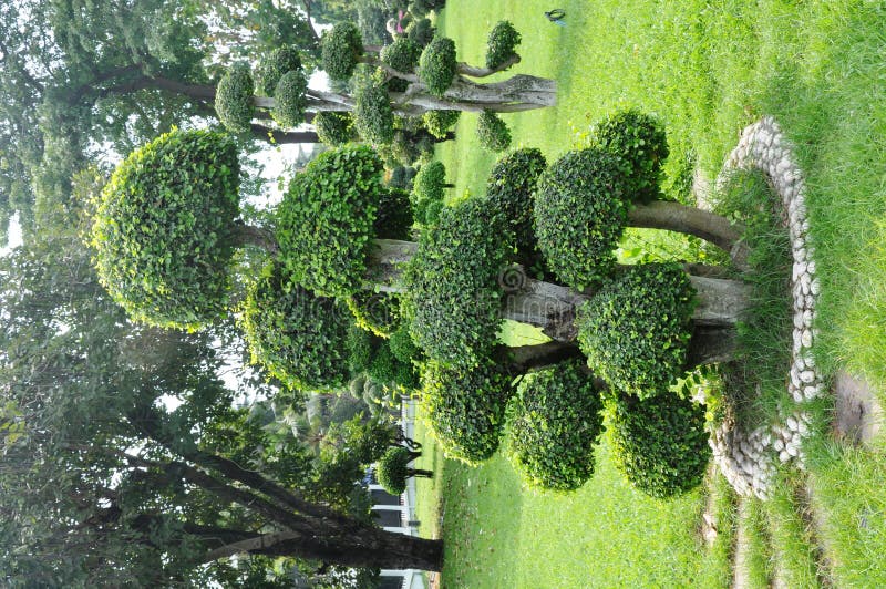 Landscape design. stock photo. Image of landscape, repeated - 28974912