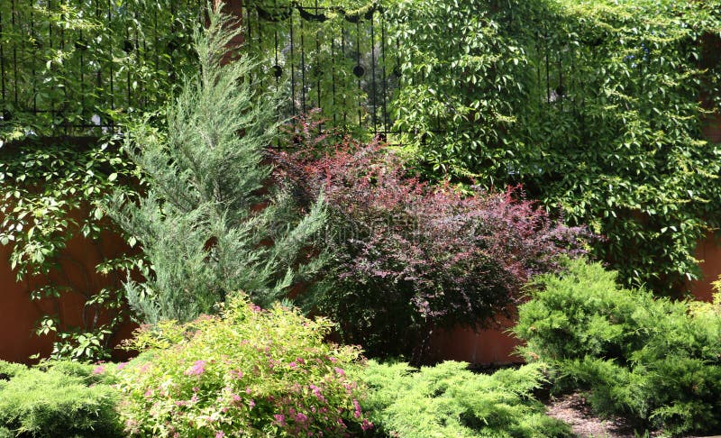 Landscape Design Example Garden, Park Stock Photo - Image of tropical ...