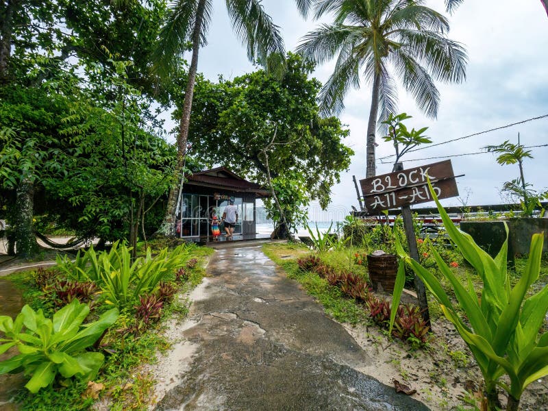 Landscape Design Featuring Palm Trees at a Beach Resort Hotel ...
