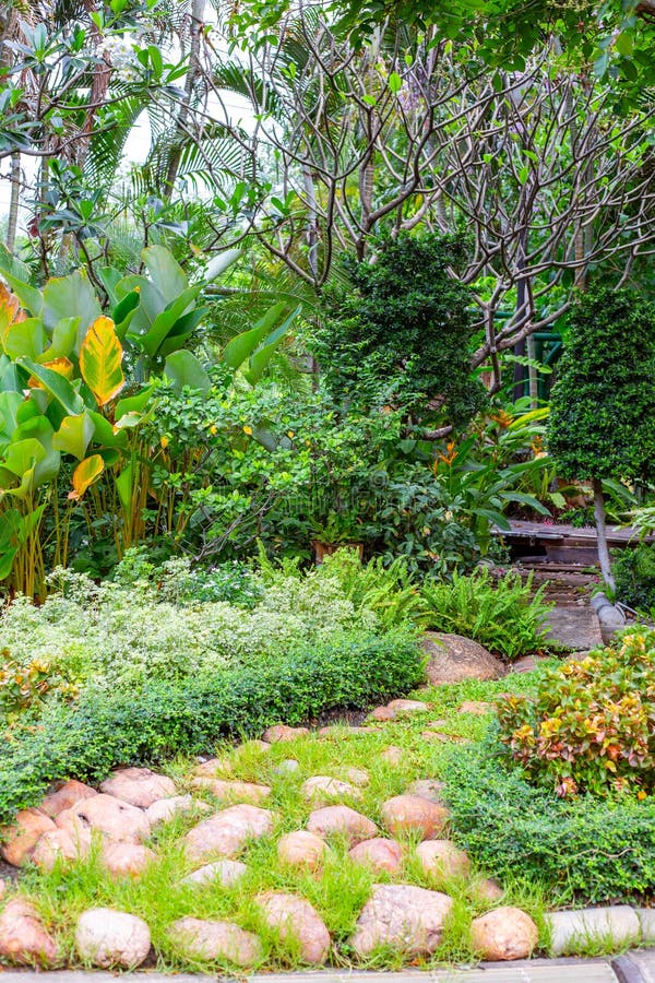 Landscape Design of the Garden. Composition of Various Plants and a ...