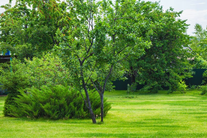 Landscape Design of the Garden Plot. Stock Image - Image of fence ...
