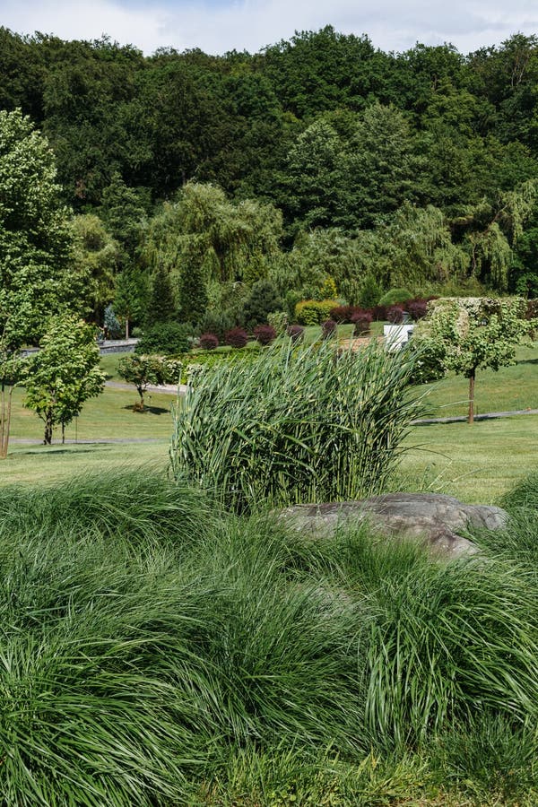 Landscape Design in the Park Stock Image - Image of plan, yard: 269361983