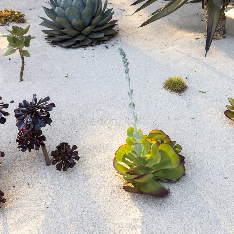 Landscape Design of a Park. Pathways are Covered Stock Image - Image of ...