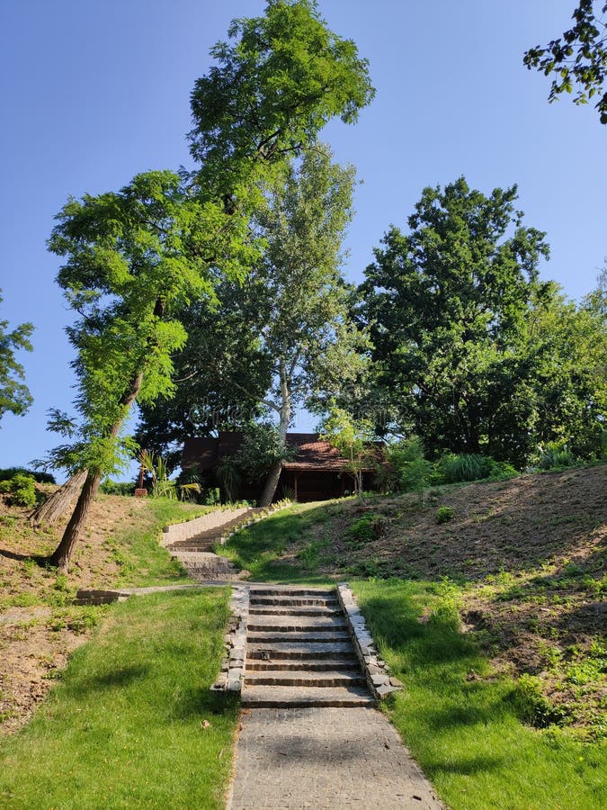 Landscape Design in the Park with Stairs in Summer Stock Image - Image ...