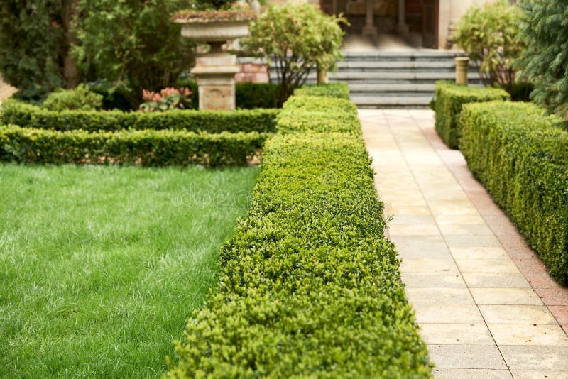 Landscape Design. a Path in the Park, Framed by Clipped Shrubs Stock ...