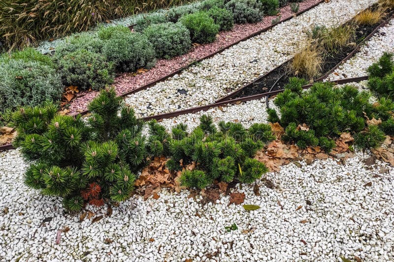 Landscape Design, Paths Made of White Stone, Compositions of Evergreen ...