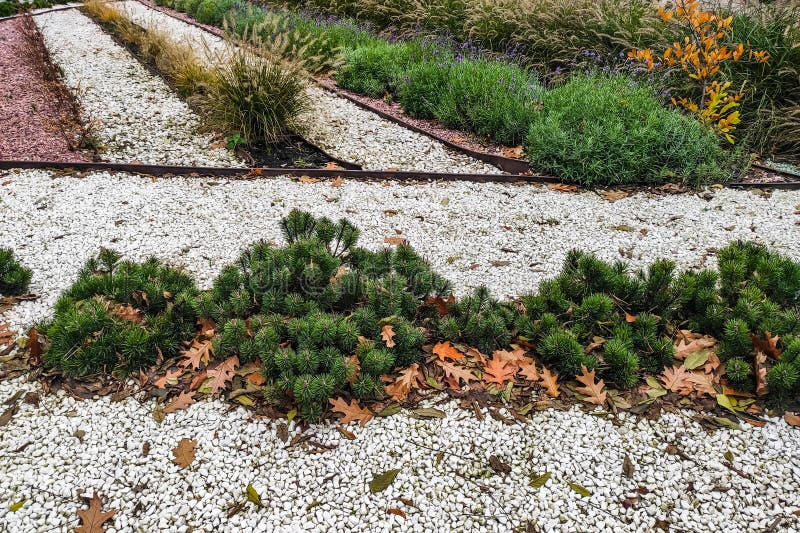 Landscape Design, Paths Made of White Stone, Compositions of Evergreen ...