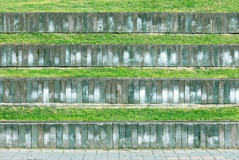 Landscape Design with Stone Steps and Lawn in Garden Stock Photo ...