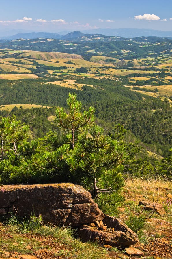 Landscape of Divcibare Mountain Stock Image - Image of idyllic, outdoor ...