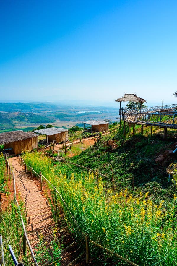 Landscape of Doi Sa Ngo Viewpoint Stock Image - Image of asian, path ...