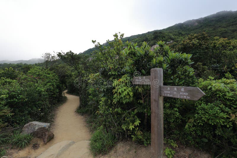 Landscape of Dragon`s Back Mountain Trail in Hongkong Stock Photo ...